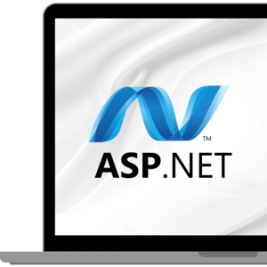 ASP.NET Development Company